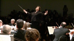 An Inspiring Collaboration – Elisa Koehler